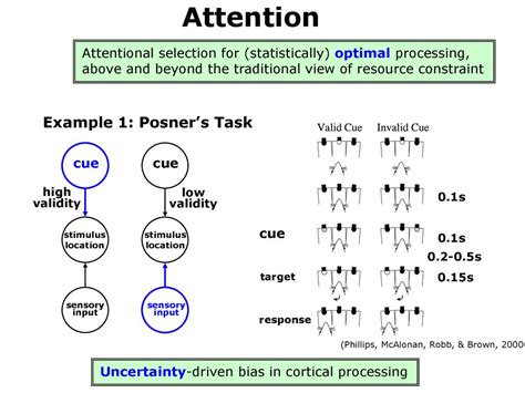 Computational Neuromodulation Ppt Download