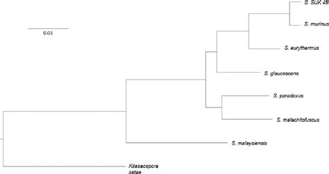Table 1 From Genome Based Classification Of Streptomyces Sp Suk 48
