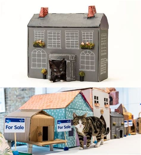 Aldi Cat House Scratcher Very Best That Chatroom Bildergalerie