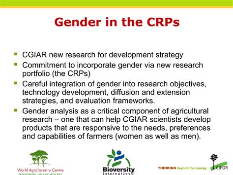 elements of a strategy for gender responsive research pptx