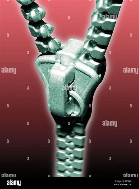 Synonyms For Integration Integration Synonyms Isynonymcom Synonyms And