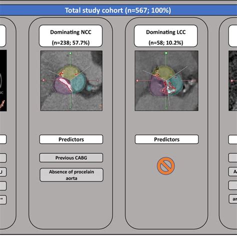 Calcification Distribution And Independent Predictors The Amount Of