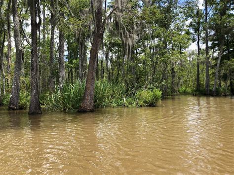 Swamp Tour — Kellie Talbot