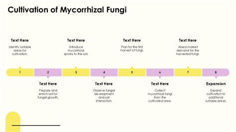 Mycorrhizal Vs Saprotrophic Fungi Ppt Summary Acp Ppt Template