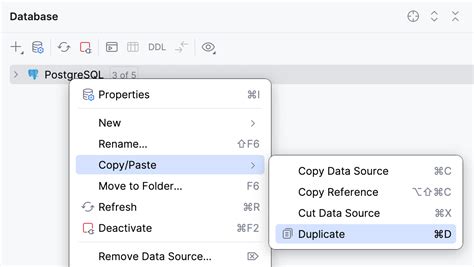 Data Sources Rustrover Documentation