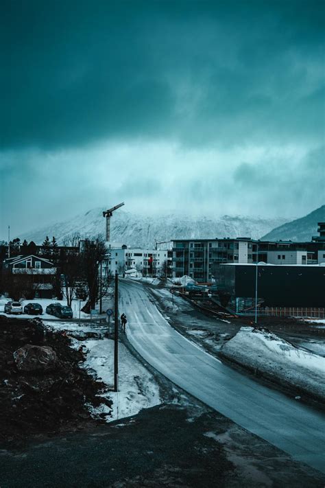 シーズン 日本 東京の無料の写真素材