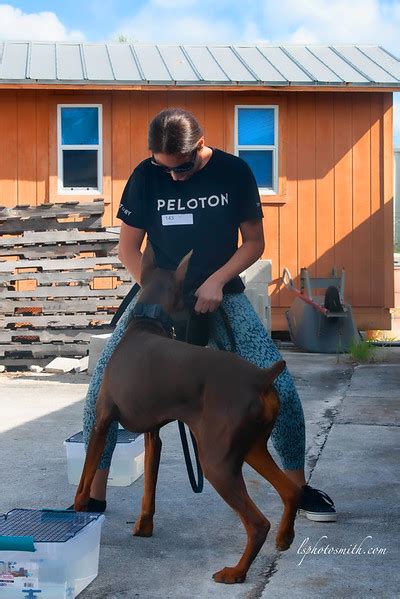 Karinne Collazo Lsphotosmith