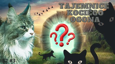 Kot Maine Coon I Tajemnice Kociego Ogona YouTube