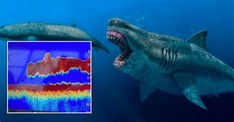 Massive Megalodon Shark Image Captured By Scientists Tech News