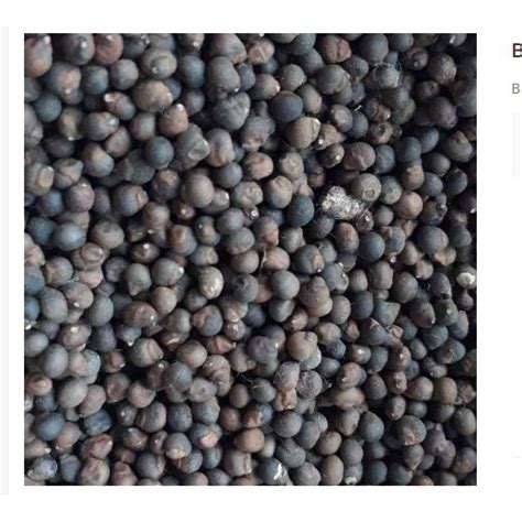 Jual Biji Kapuk Randu Klenteng Randu 1kg Umpan Ikan Lampam Dengan Biji