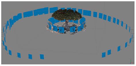 Metrics Of Growth Habit Derived From The D Tree Point Cloud Used For Species DeterminationA