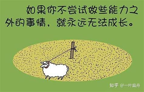 爱，总是去向不缺爱的人 知乎