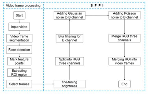 The Flow Chart For Shielding Facial Physiological Information