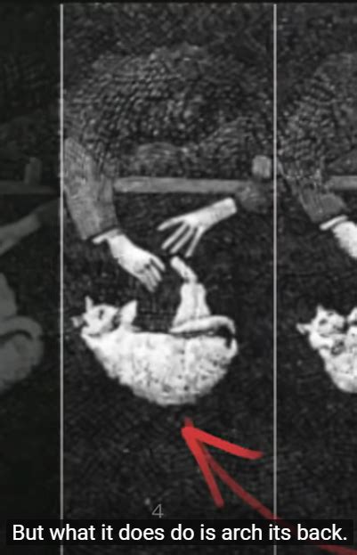 The Angular Momentum To Make Cat Land All The Time Xinyi Huang S Homepage