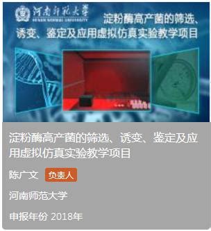 实验详情