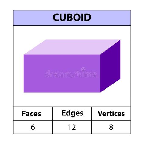 Cuboid Faces Edges Vertices Geometric Figures Set Isolated On A