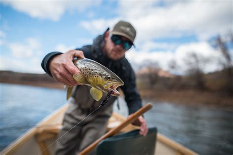 Best Midge Fly Patterns