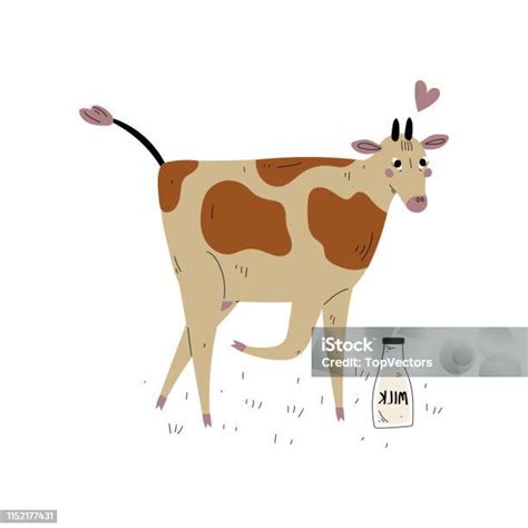 우유 유리 병 유제품 가축 축산 사육 벡터 일러스트와 함께 발견 된 암소 귀여운에 대한 스톡 벡터 아트 및 기타 이미지 귀여운 끌어모으기 농업 Istock