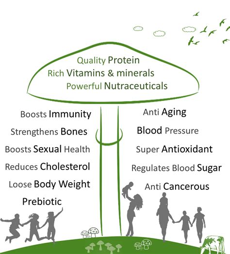 Exploring The Nutritional And Health Benefits Of Mushrooms Roodi Food
