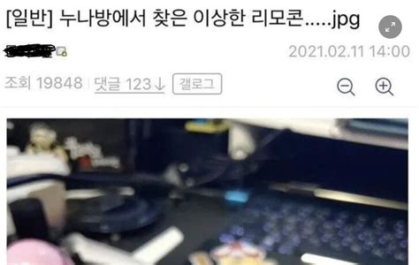 이슈도그 누나 방에서 찾은 이상한 리모콘 댓글에 본문