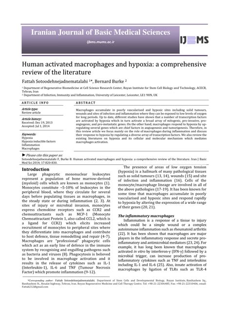 Pdf Human Activated Macrophages And Hypoxia A Comprehensive Review