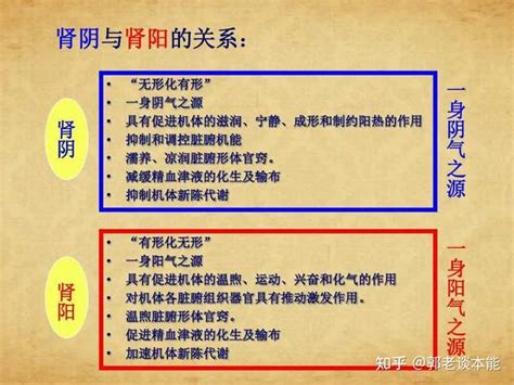 容易出汗的人，是肾阴虚还是肾阳虚？如何自己判断？又如何补呢？ 知乎