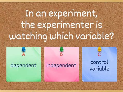 Scientific Method Quiz