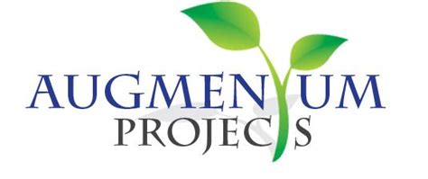 Logo Design For Augmentum Projects