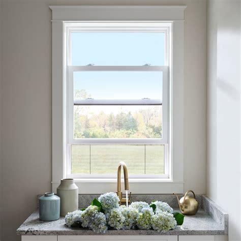 single hung windows the online window store