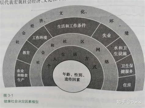 学习笔记 健康社会决定因素 知乎