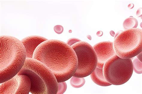 Why Measuring Your Microvascular System Is Important Essential Naples