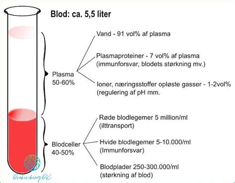 Hæmoglobin B Hvad Er Det Og Hvad Er Dets Funktion December 2025