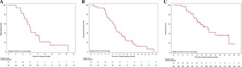 Kaplanmeier Estimates Of The Duration Of Response A Download