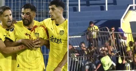 Escándalo En La Libertadores Peleas Entre Hinchas Y Un Jugador