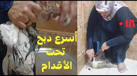 أسرع دبح تحت الاقدام 🍗👍 Youtube