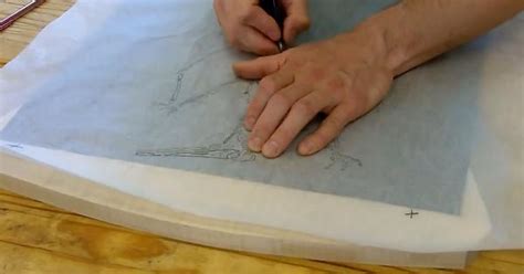 Fossil Table Album On Imgur