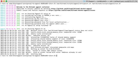 [bitnami postgresql ha] can not install with helm · issue 4623