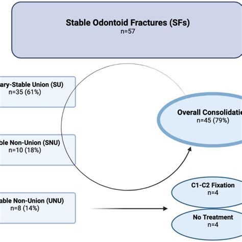 Odontoid Fracture Classification According To Ventral Or Dorsal Download Scientific Diagram