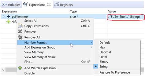 launchxl f28379d show the whole string in expressions window during