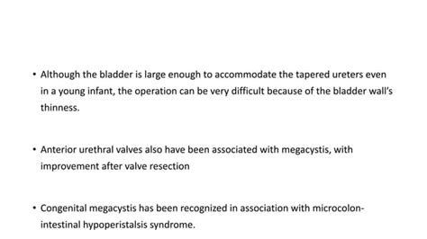 Congenital Bladder Disorders Ppt