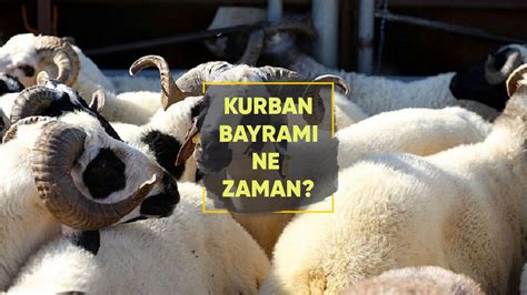 Kurban Bayramı ne zaman Kurban Bayramına kaç gün kaldı ayın kaçında