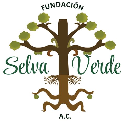 Blog Fsv Org Mx