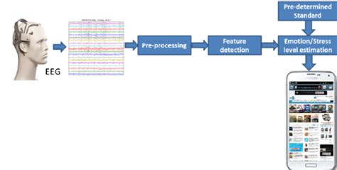 Flowchart Illustrating Various Preprocessing Steps For The Eeg Input On