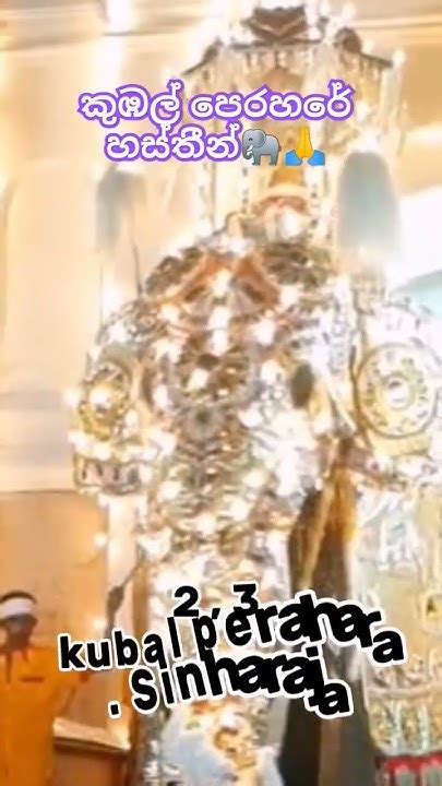 2024 කුඹල් පෙරහරේ ☸️🙏 සධාතුක කරඩුව වැඩම්වූ 🐘☸️🙏 අපේ හස්ති රාජයින් Daladamaligawa Perahara