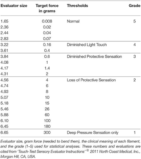 Frontiers Validity And Reliability Of The Semmes Weinstein Monofilament Test And The Thumb Frontiers Validity And Reliability Of The Semmes Weinstein Monofilament Test And The Thumb