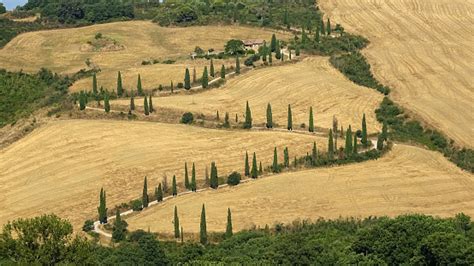 Val Dorcia 토스카나 이탈리아 사이프러스 나무가 있는 도로의 놀라운 전망 금색과 노란색의 농경지 지구의 선 땅의 색과 모양에 대한 관점 경관에 대한 스톡 사진 및