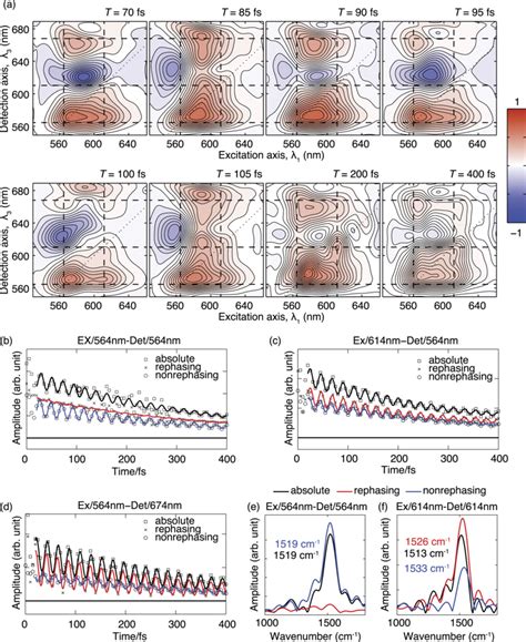 A Absorptive 2d Es Of P3ht Film At Different Population Times