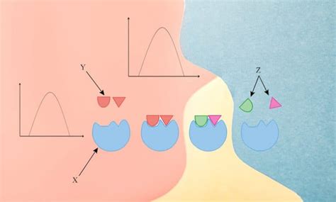 How Does PH Affect Enzyme Activity Graph Experiment JournalHow