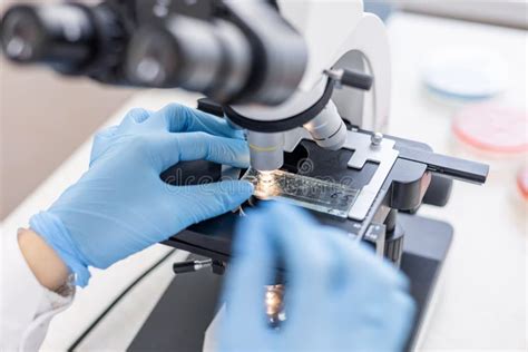 Close Up View Of Laboratory Worker Using Microscope And Examines Fragments Of Tissue