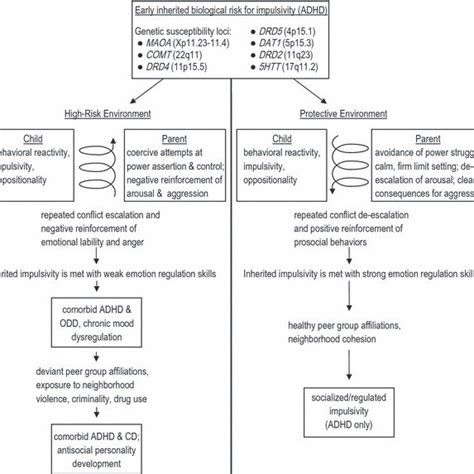 Pdf Comorbidity Of Attention Deficithyperactivity Disorder And Early